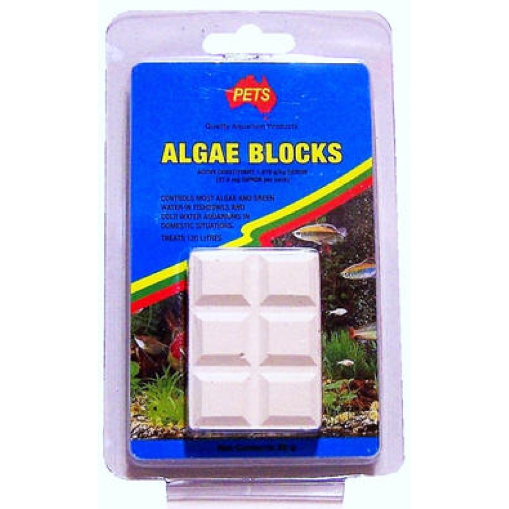 Aquarium Algae Block
