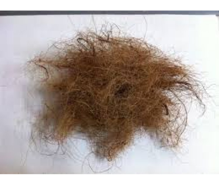 Coconut Nesting Fibre