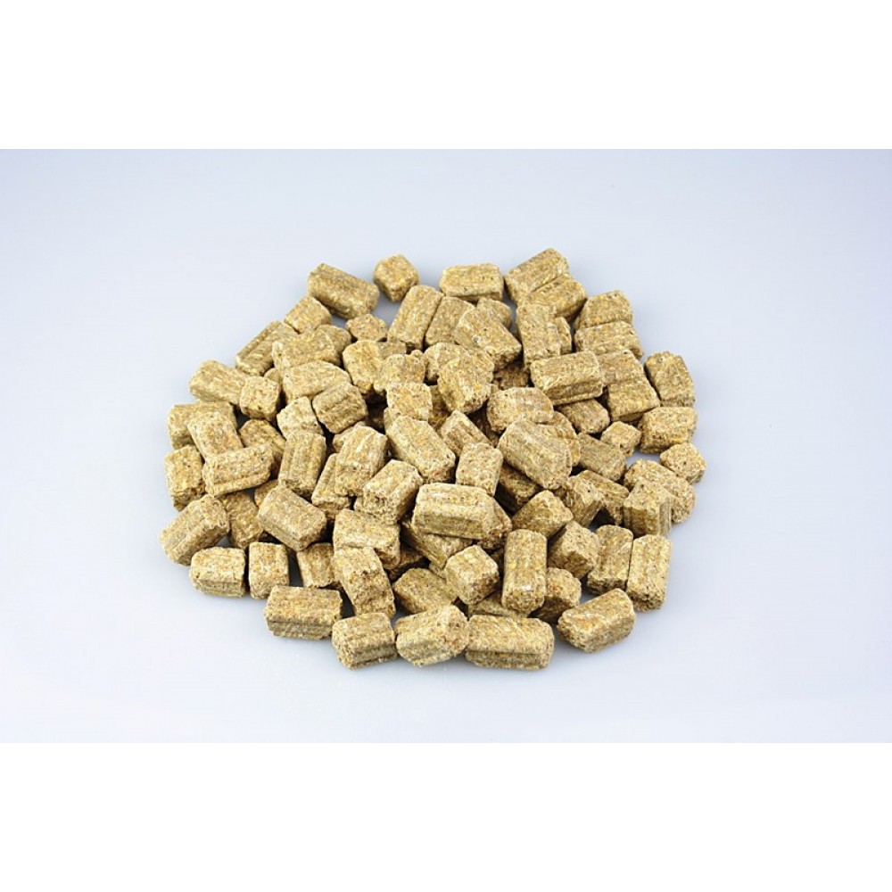 Rat & Mouse Cubes