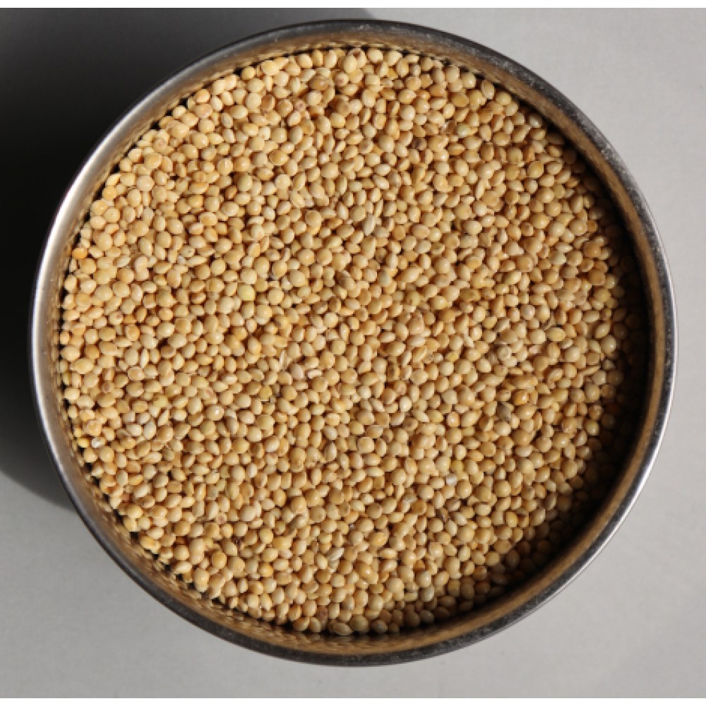 Murphy's French White Millet
