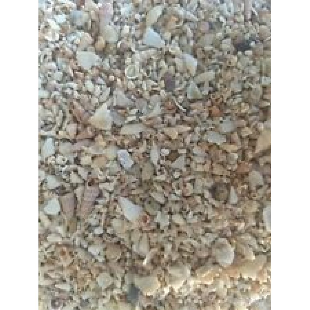 Medium Shell Grit