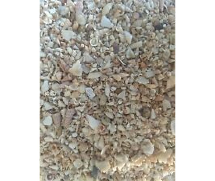 Medium Shell Grit