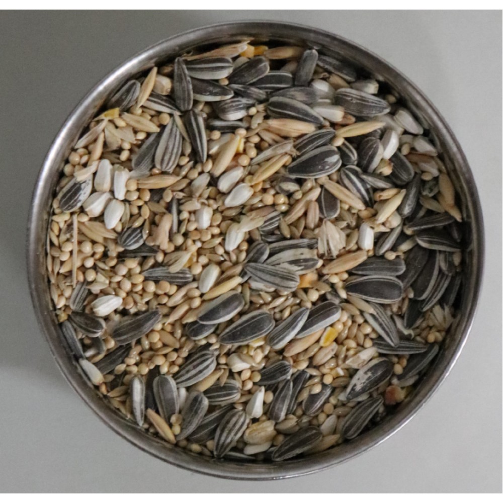 Murphy's Small Parrot Mix