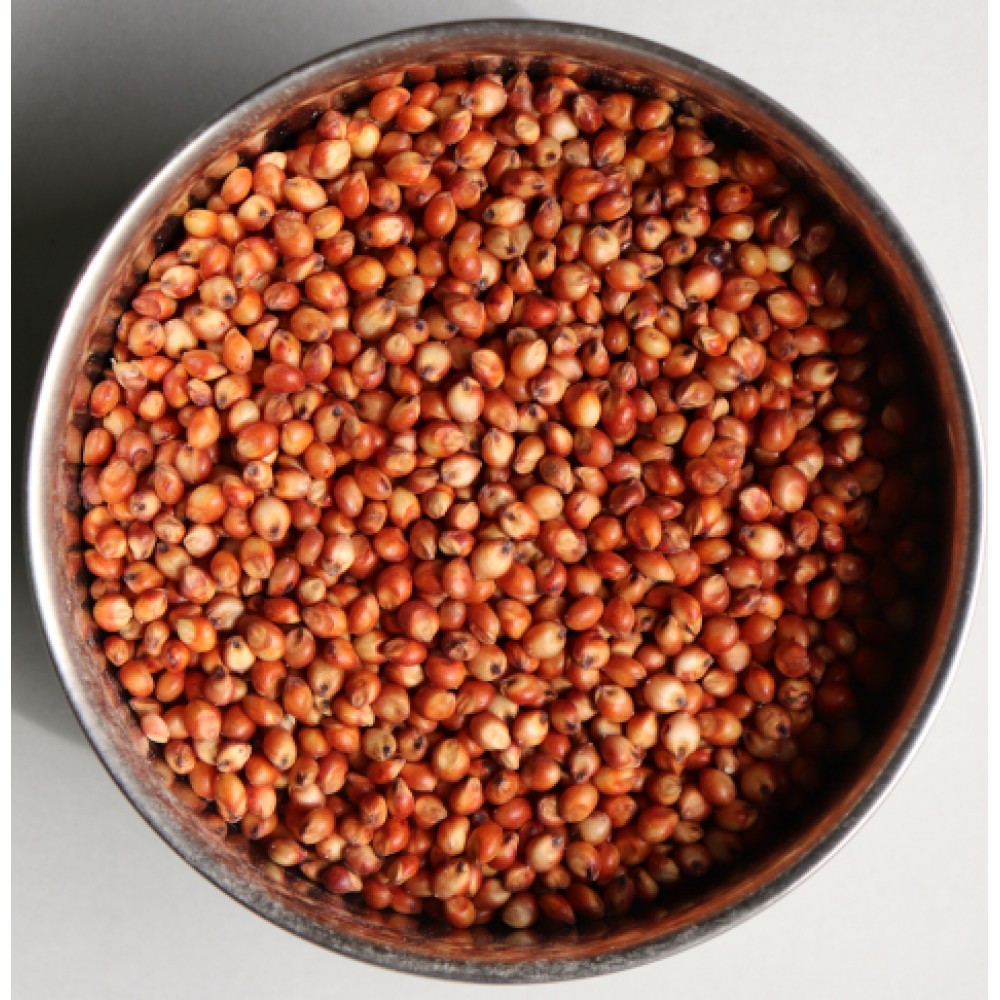Murphy's Sorghum (Milo)
