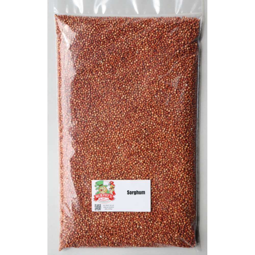 Murphy's Sorghum (Milo)